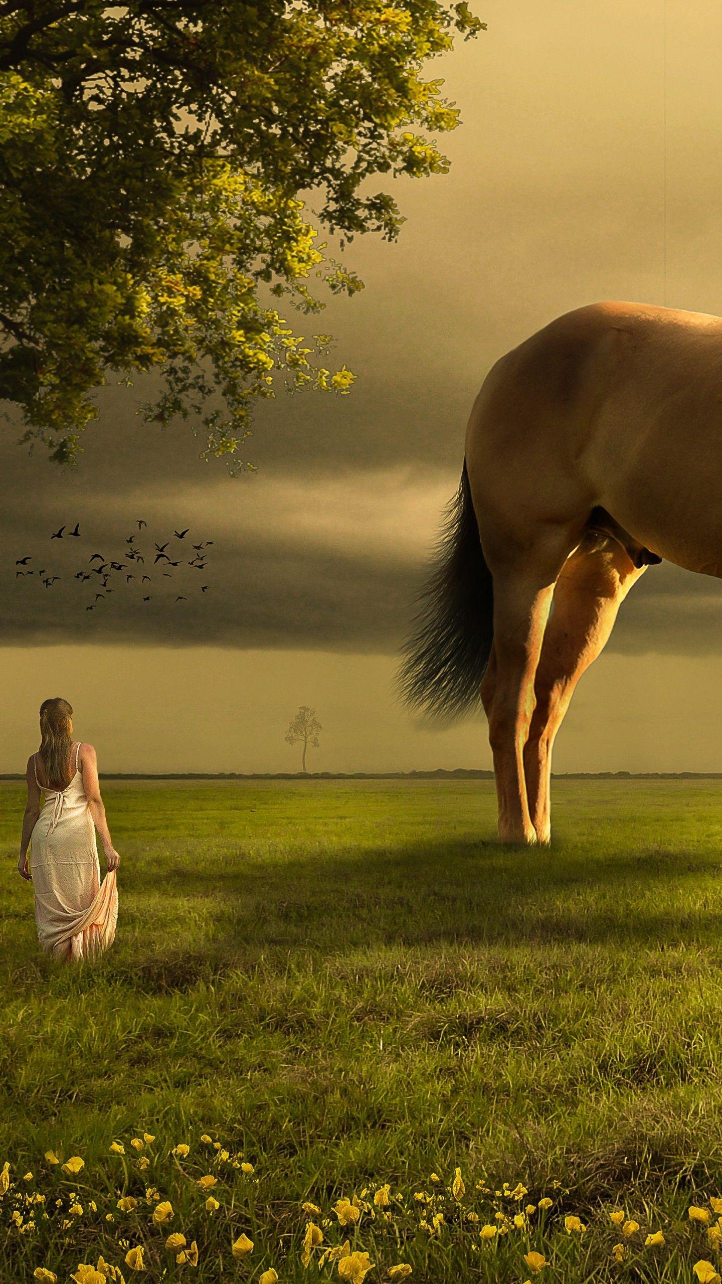 Spring Horse Wallpapers - Top Free Spring Horse Backgrounds ...