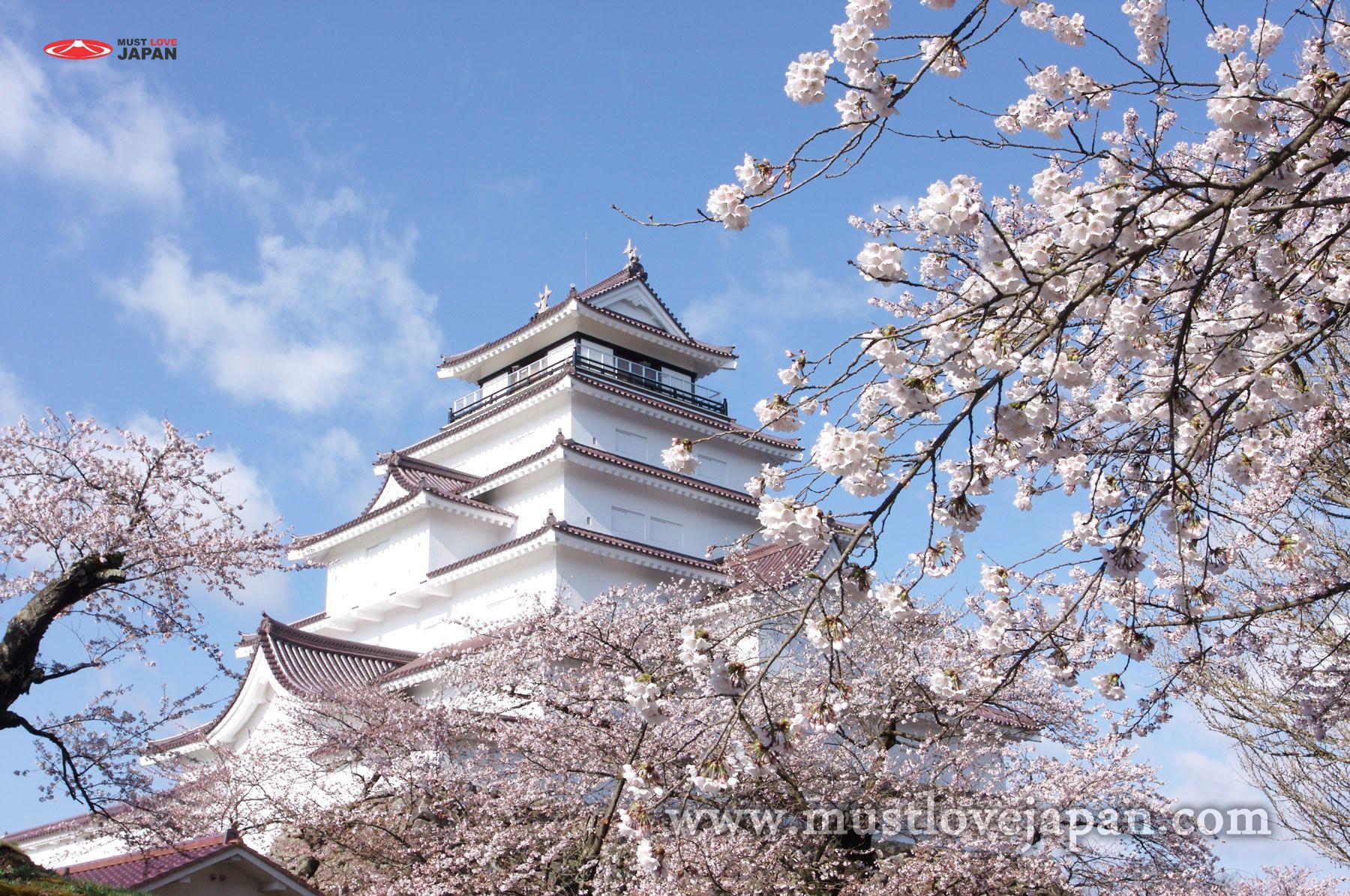 Japanese Castle Wallpapers - Top Free Japanese Castle Backgrounds ...