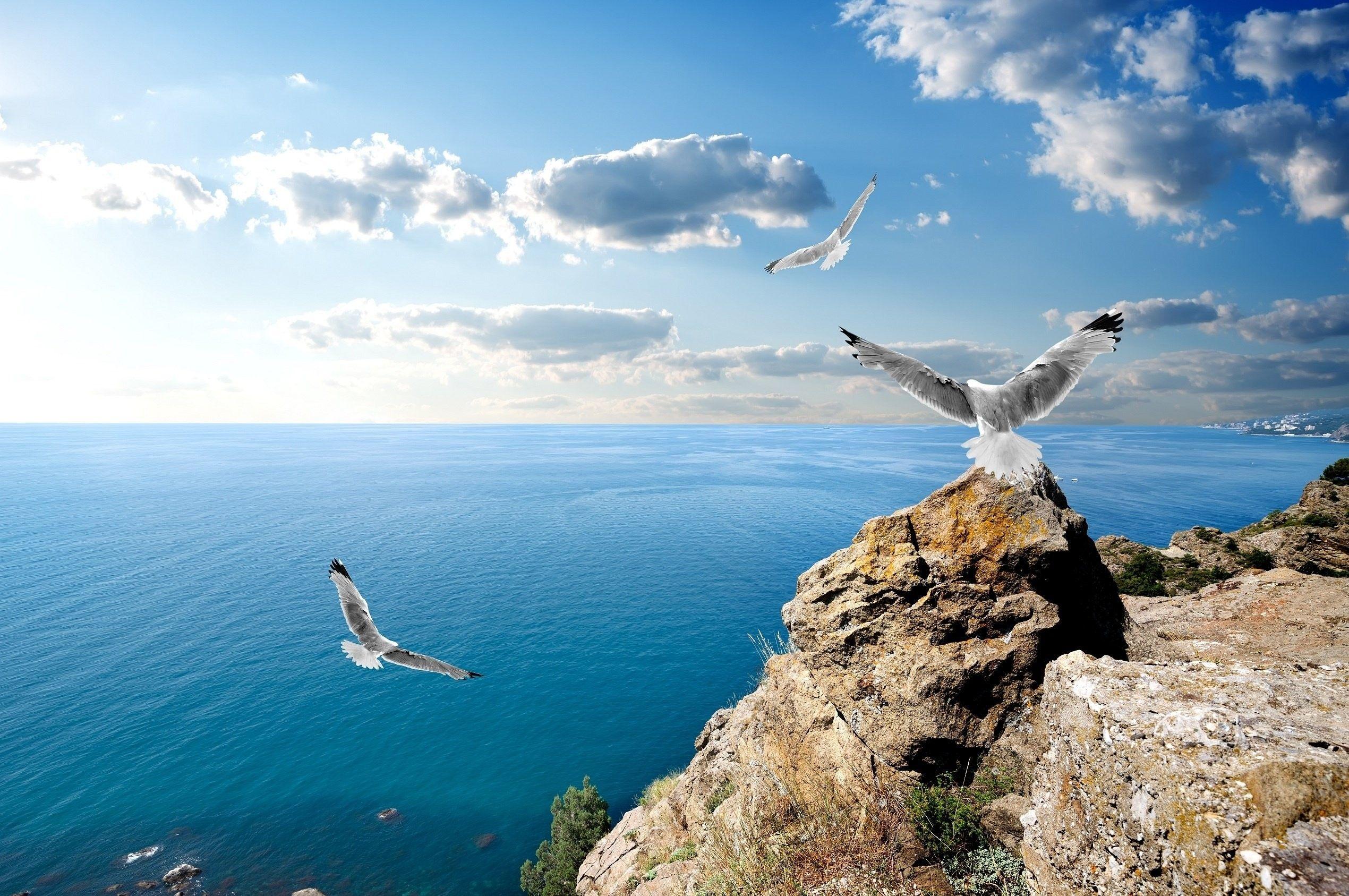 Ukraine Nature Wallpapers - Top Free Ukraine Nature Backgrounds ...