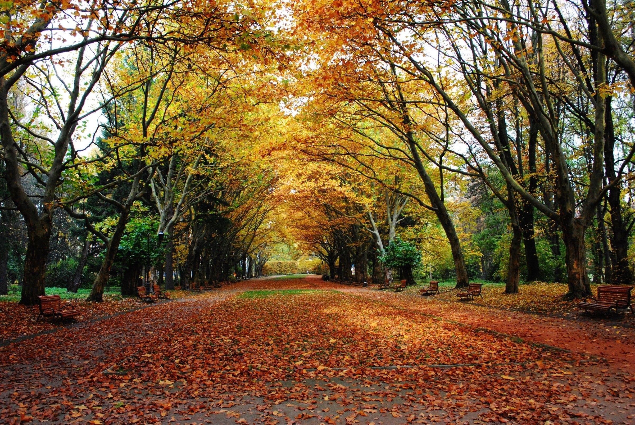 Ukraine Nature Wallpapers - Top Free Ukraine Nature Backgrounds ...