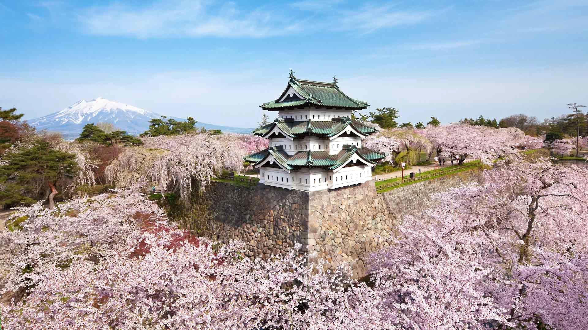 Japanese Castle Wallpapers - Top Free Japanese Castle Backgrounds ...