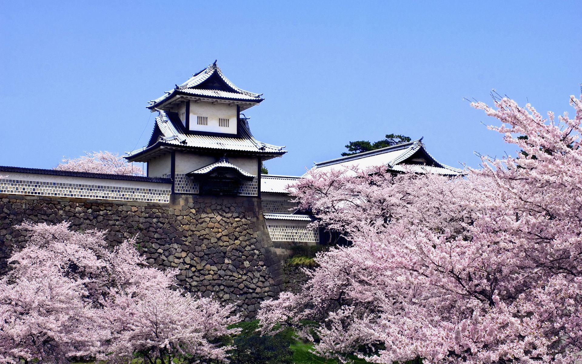 Japanese Castle Wallpapers - Top Free Japanese Castle Backgrounds ...