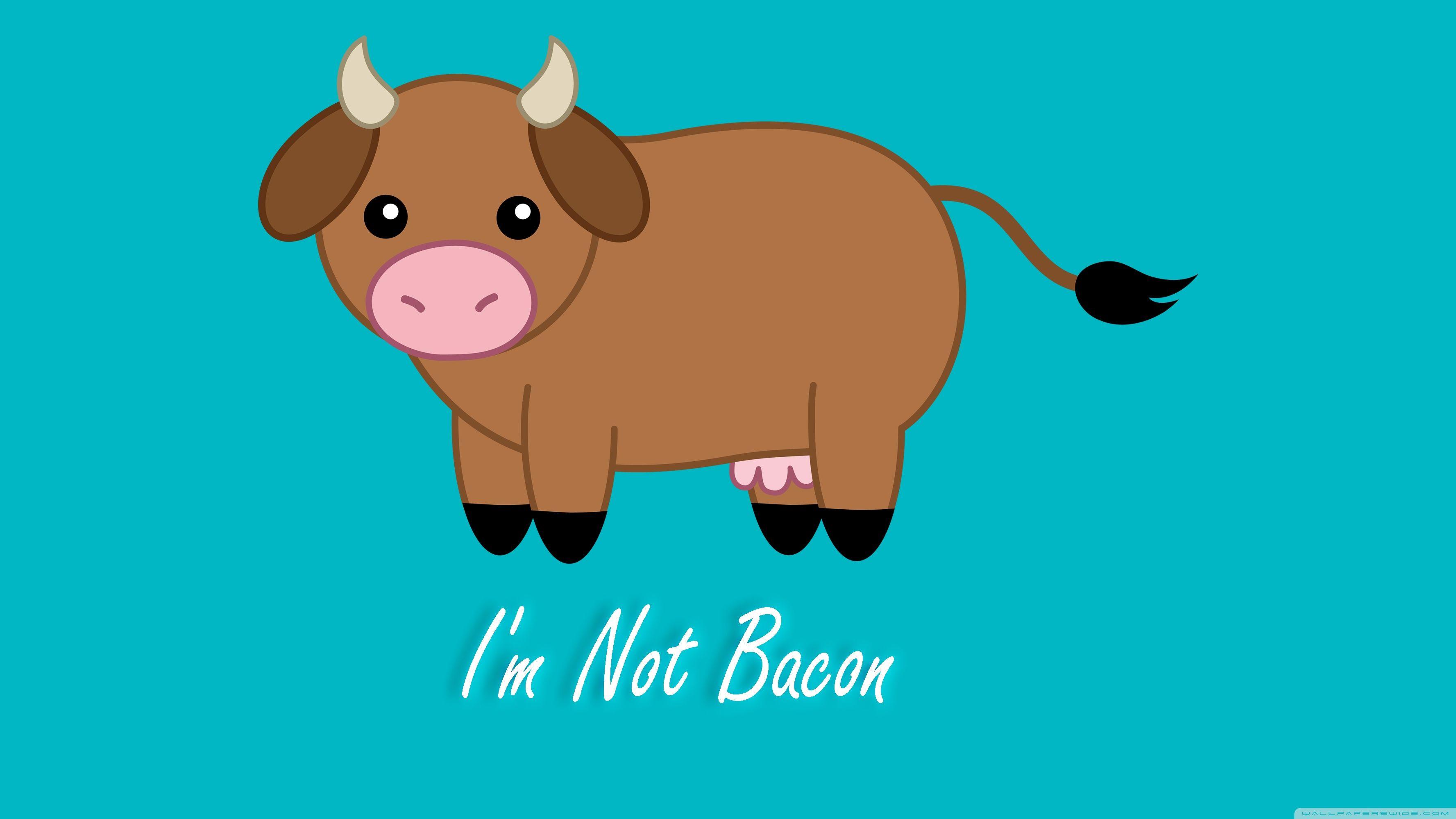 Vegan Desktop Wallpapers - Top Free Vegan Desktop Backgrounds ...