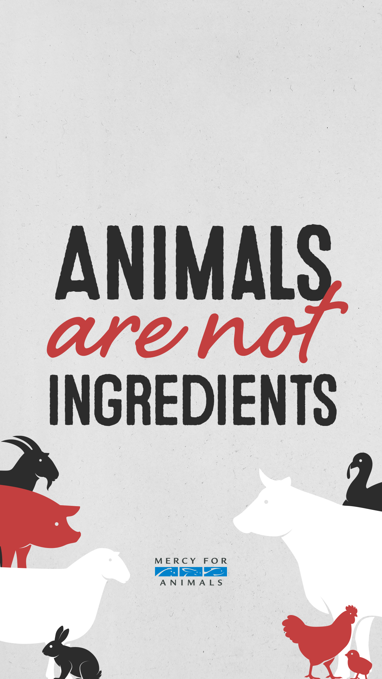 Vegan Wallpapers - Top Free Vegan Backgrounds - WallpaperAccess