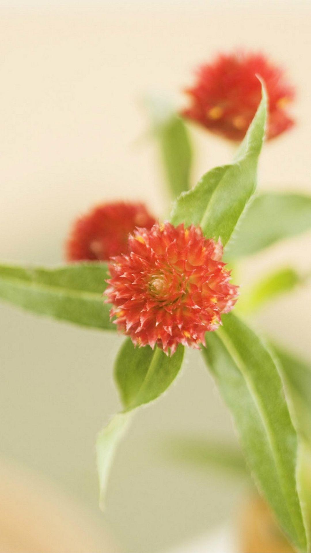 Simple Beautiful Wallpapers - Top Free Simple Beautiful Backgrounds ...