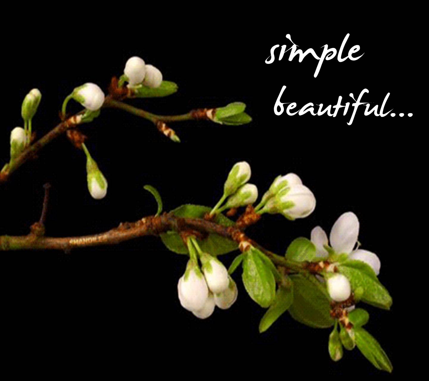 Simple Beautiful Wallpapers - Top Free Simple Beautiful Backgrounds ...