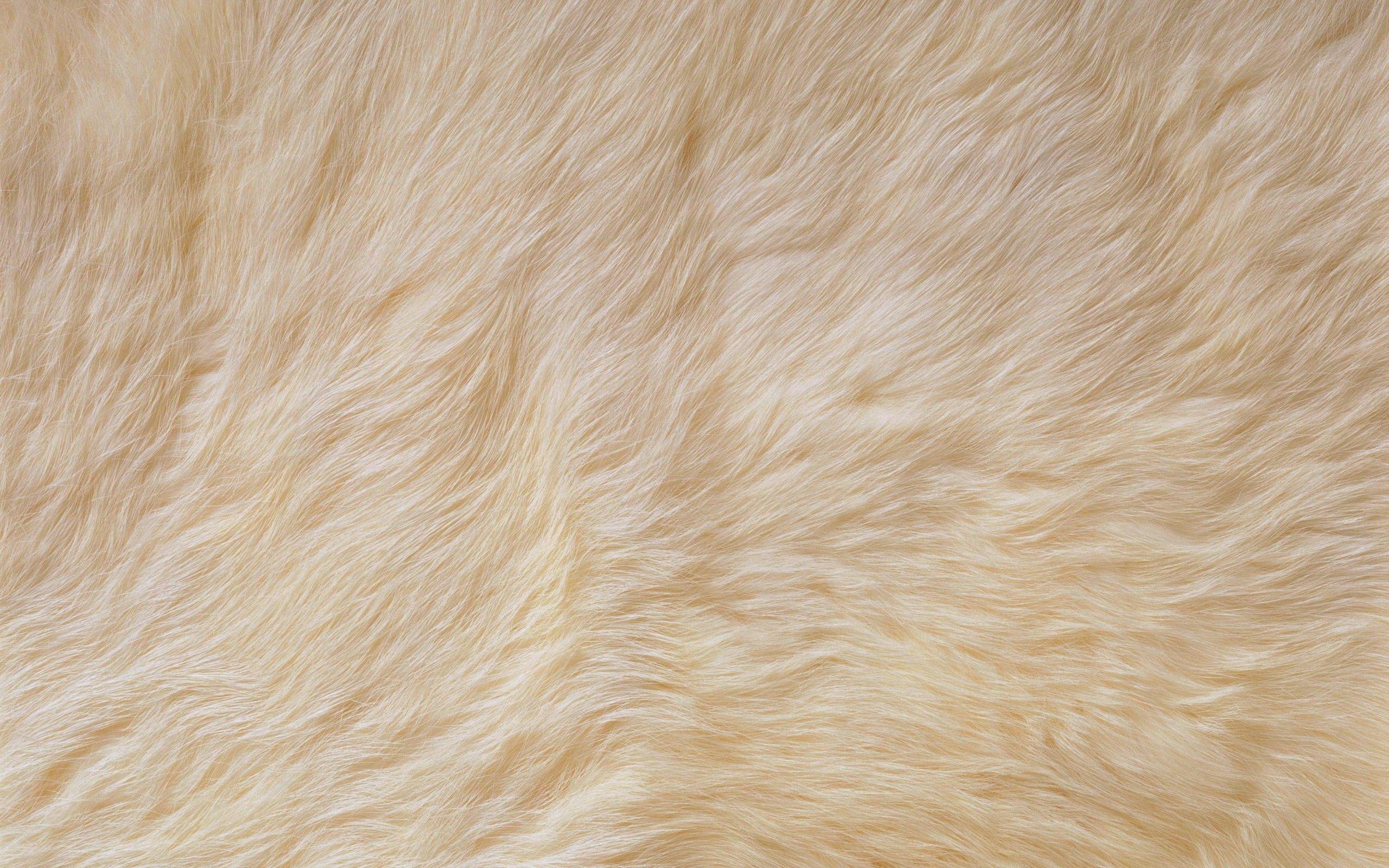 Fur Wallpapers - Top Free Fur Backgrounds - WallpaperAccess