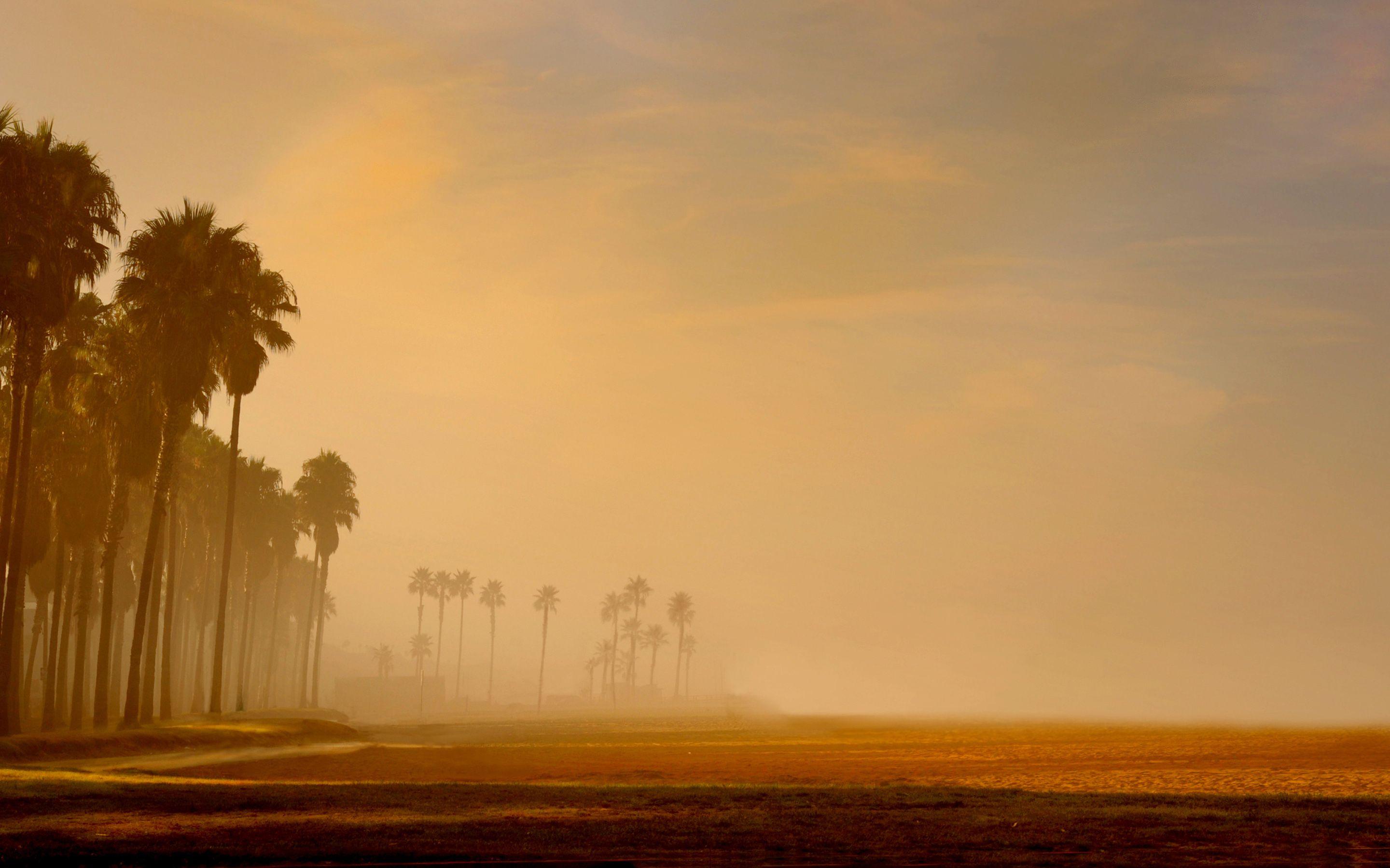 La Wallpapers - Top Free La Backgrounds - WallpaperAccess