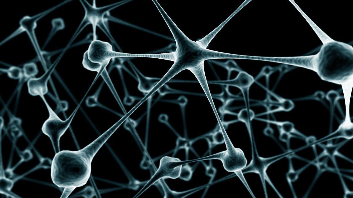 Neural Network Wallpapers - Top Free Neural Network Backgrounds ...