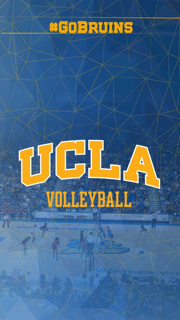 UCLA Wallpapers - Top Free UCLA Backgrounds - WallpaperAccess