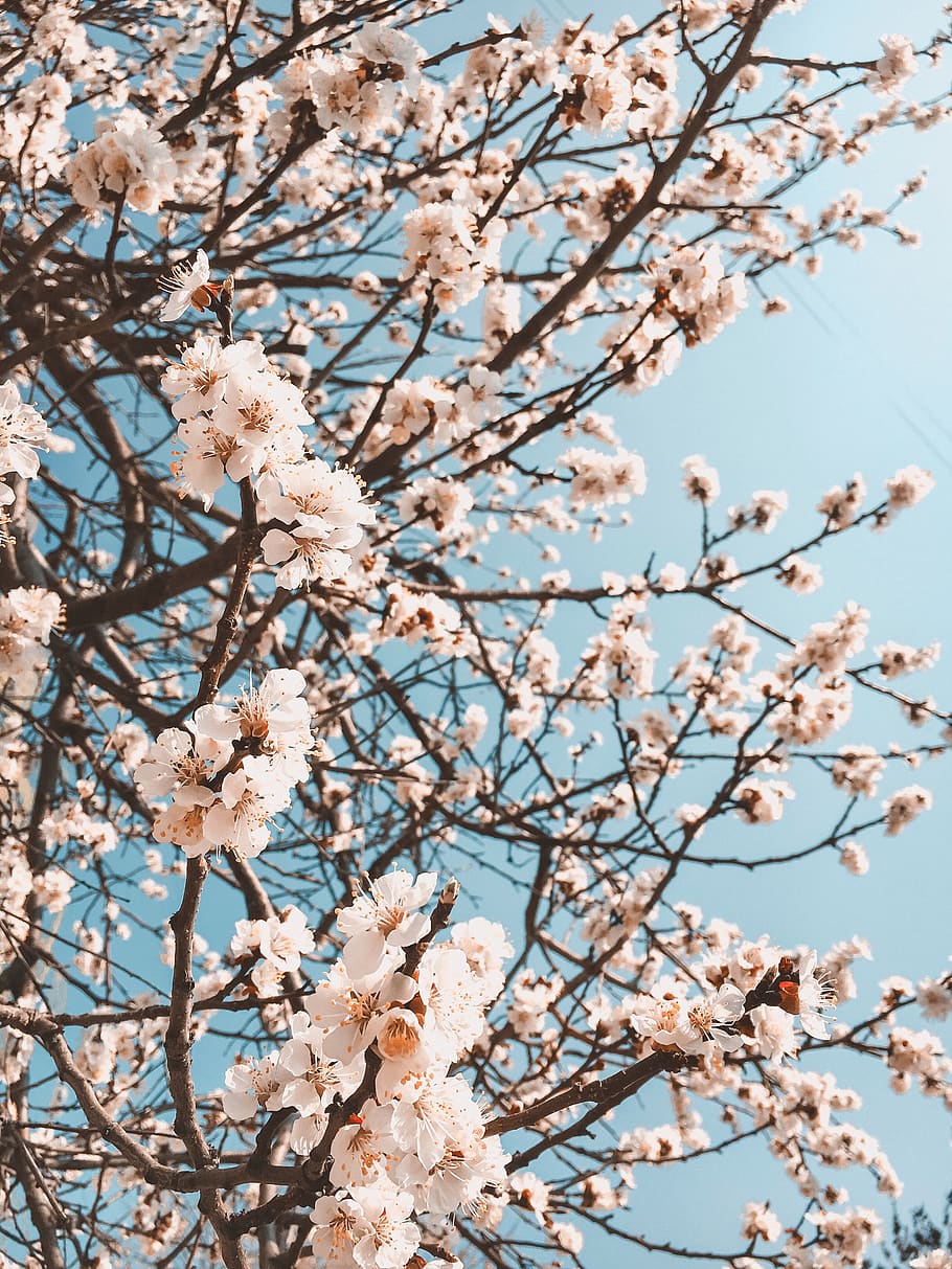 Ditch Wallpapers - Top Free Ditch Backgrounds - WallpaperAccess