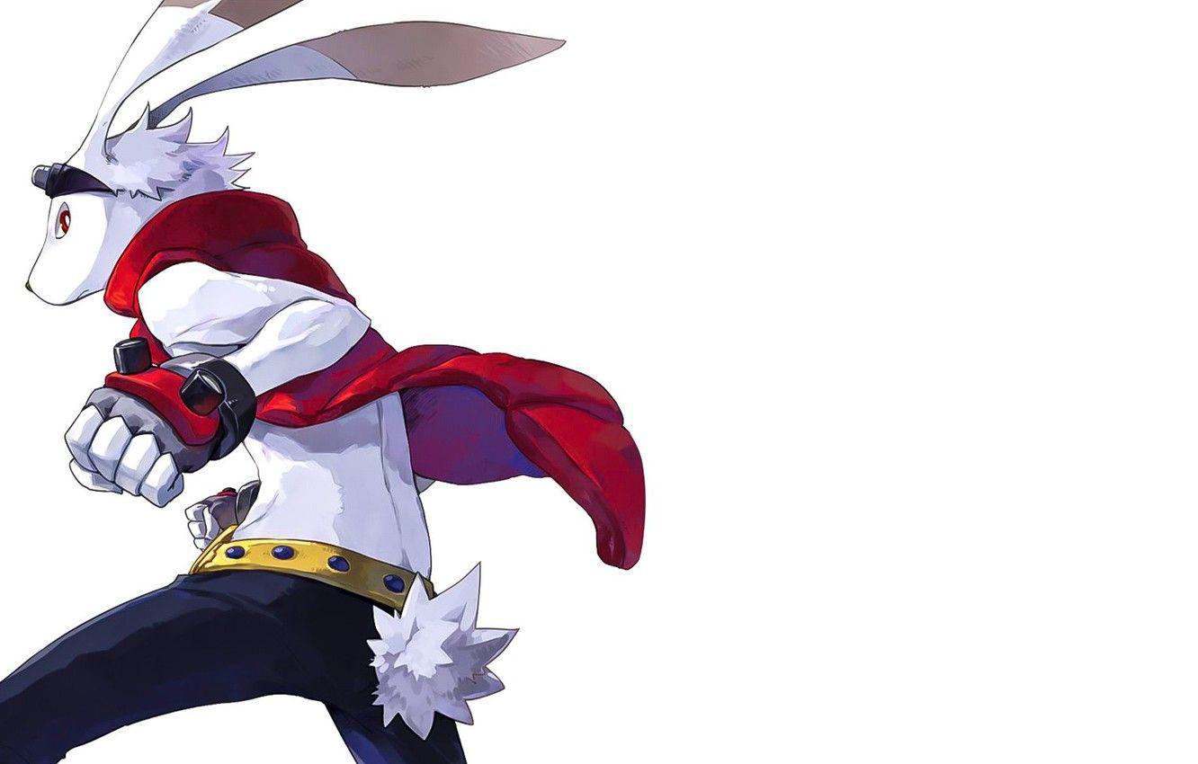 Rabbit Anime Wallpapers - Top Free Rabbit Anime Backgrounds ...