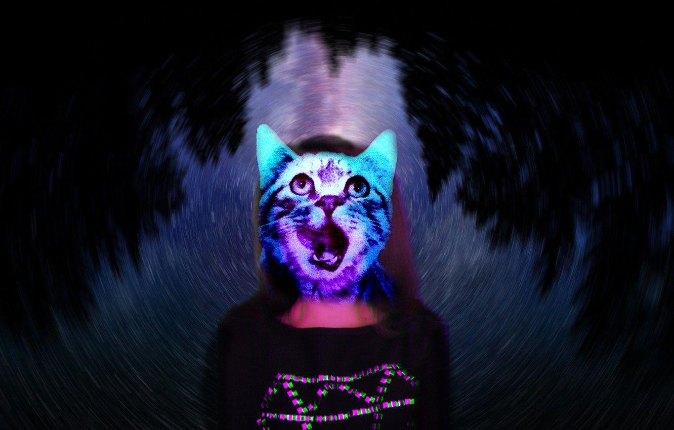 LSD Cats Wallpapers - Top Free LSD Cats Backgrounds - WallpaperAccess