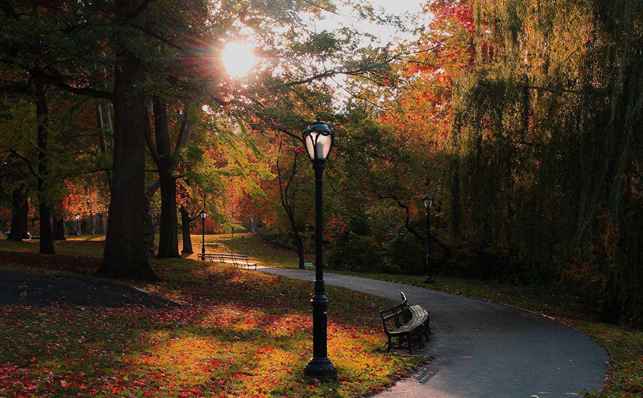 Autumn Street Wallpapers - Top Free Autumn Street Backgrounds ...