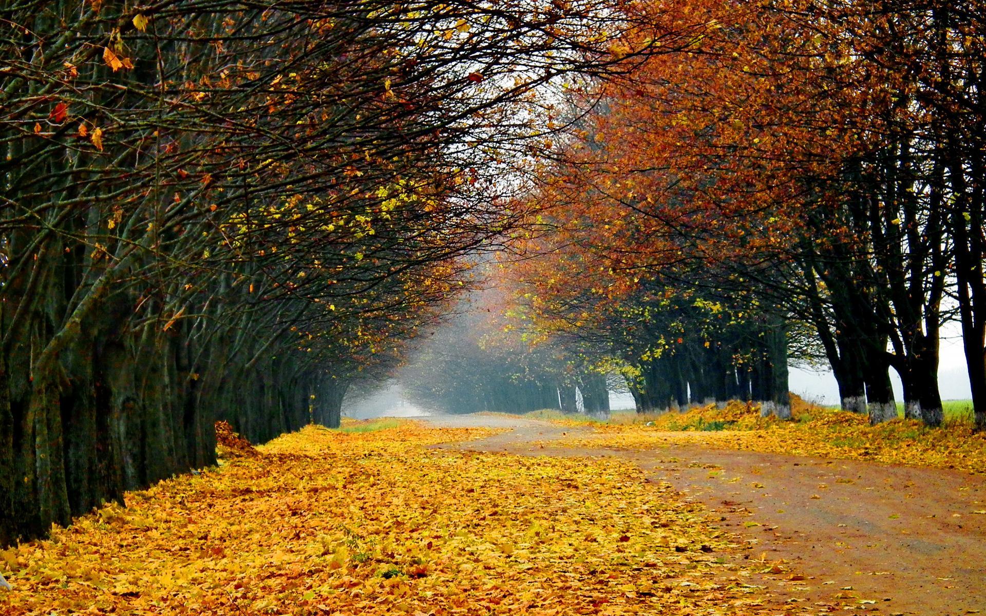 Autumn Street Wallpapers - Top Free Autumn Street Backgrounds ...