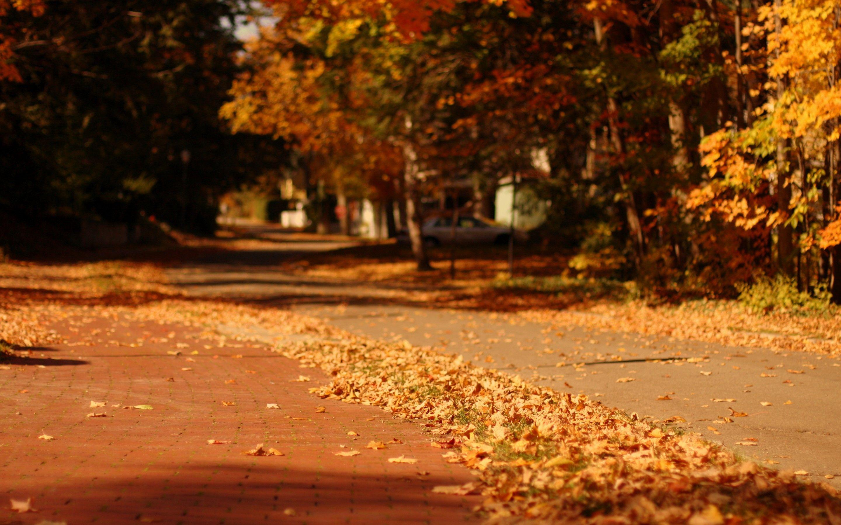 Autumn Street Wallpapers - Top Free Autumn Street Backgrounds ...