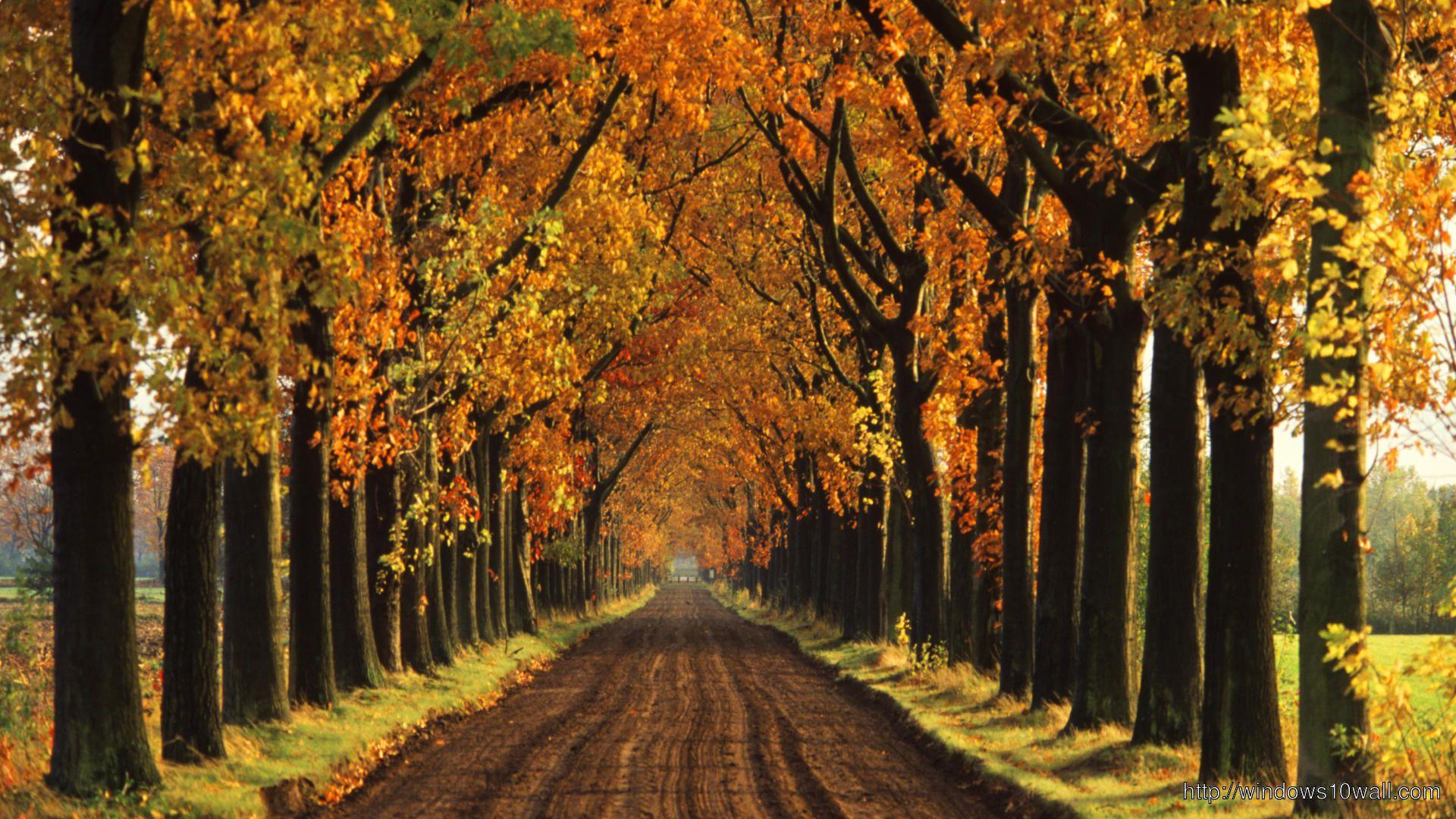 Autumn Street Wallpapers - Top Free Autumn Street Backgrounds ...