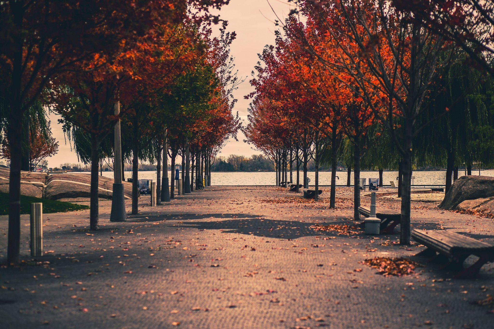 Autumn Street Wallpapers - Top Free Autumn Street Backgrounds ...