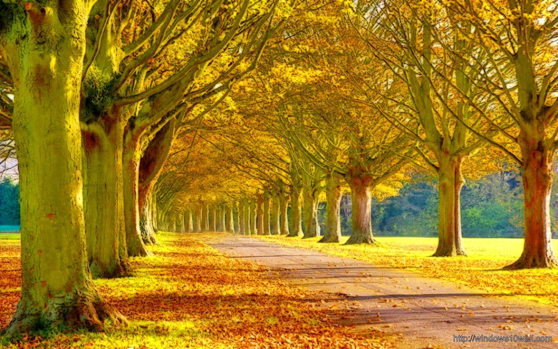 Autumn Street Wallpapers - Top Free Autumn Street Backgrounds ...