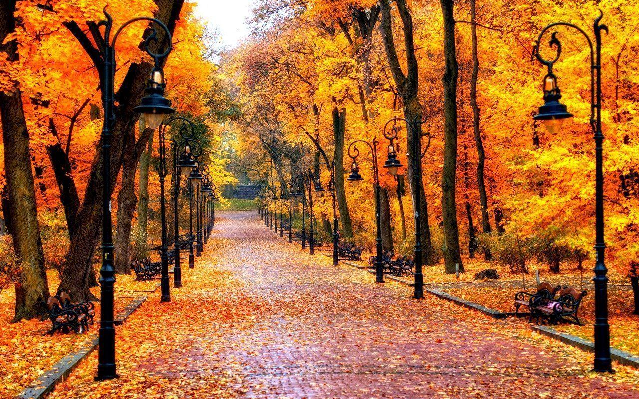 Autumn Street Wallpapers - Top Free Autumn Street Backgrounds ...