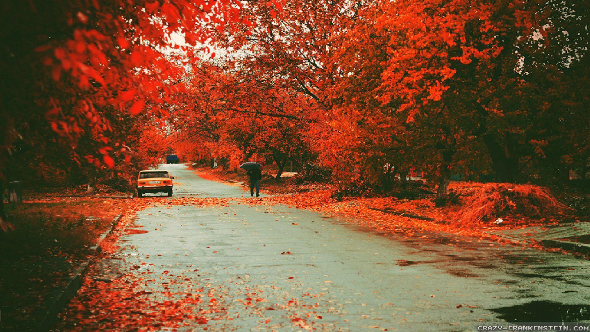 Autumn Street Wallpapers - Top Free Autumn Street Backgrounds ...