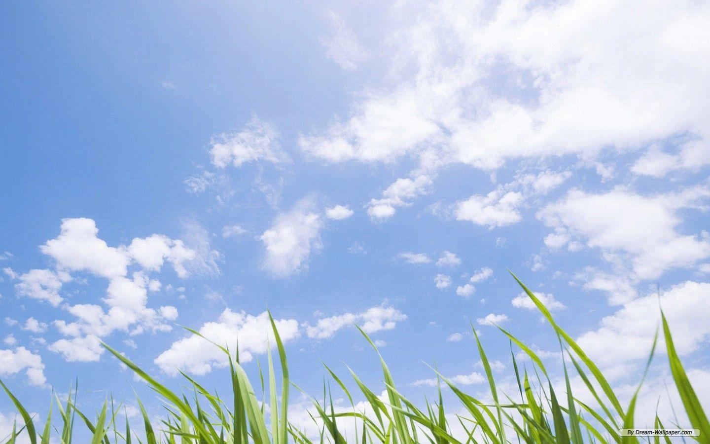 White Nature Wallpapers - Top Free White Nature Backgrounds ...