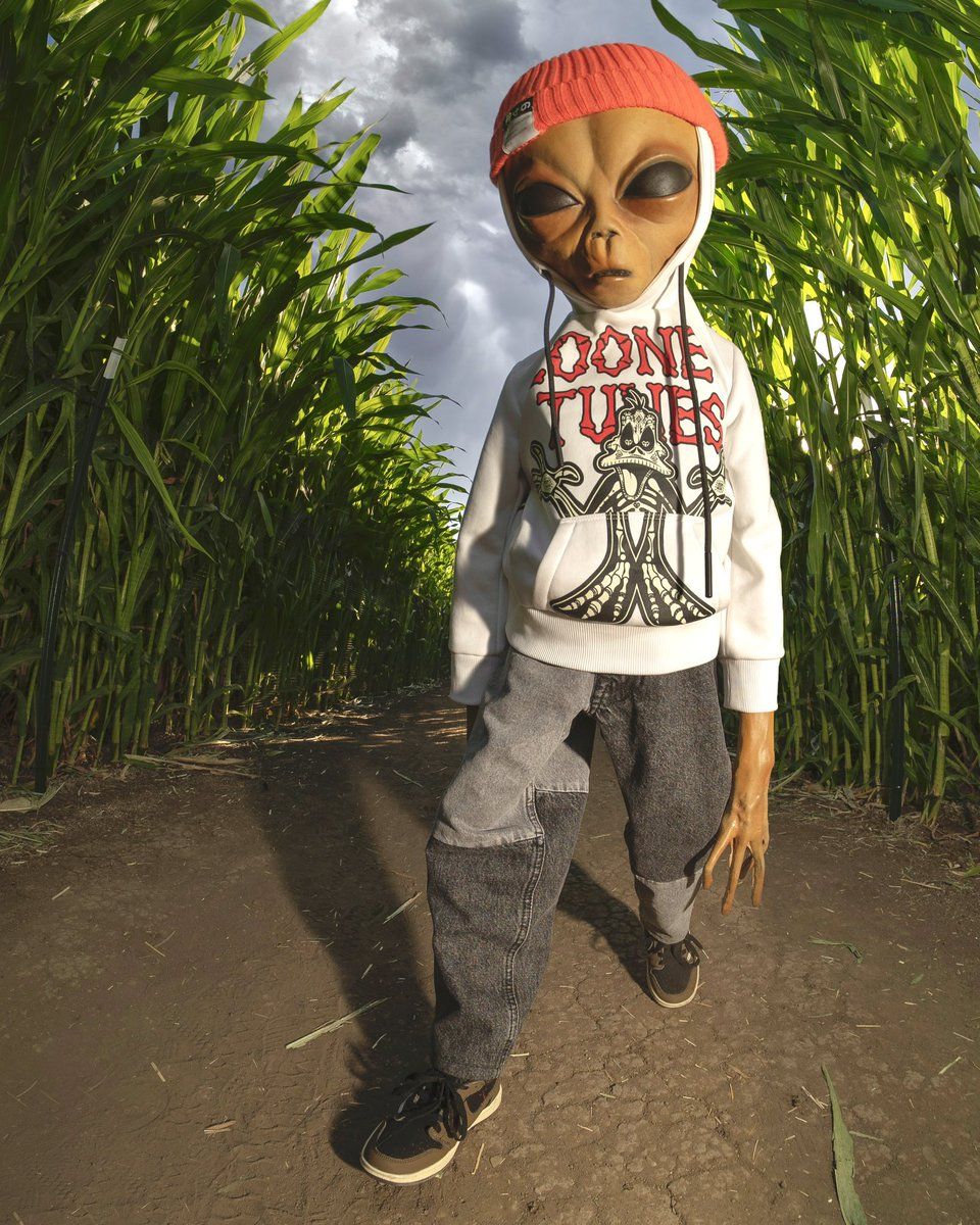 Lil Mayo Wallpapers - Top Free Lil Mayo Backgrounds - WallpaperAccess