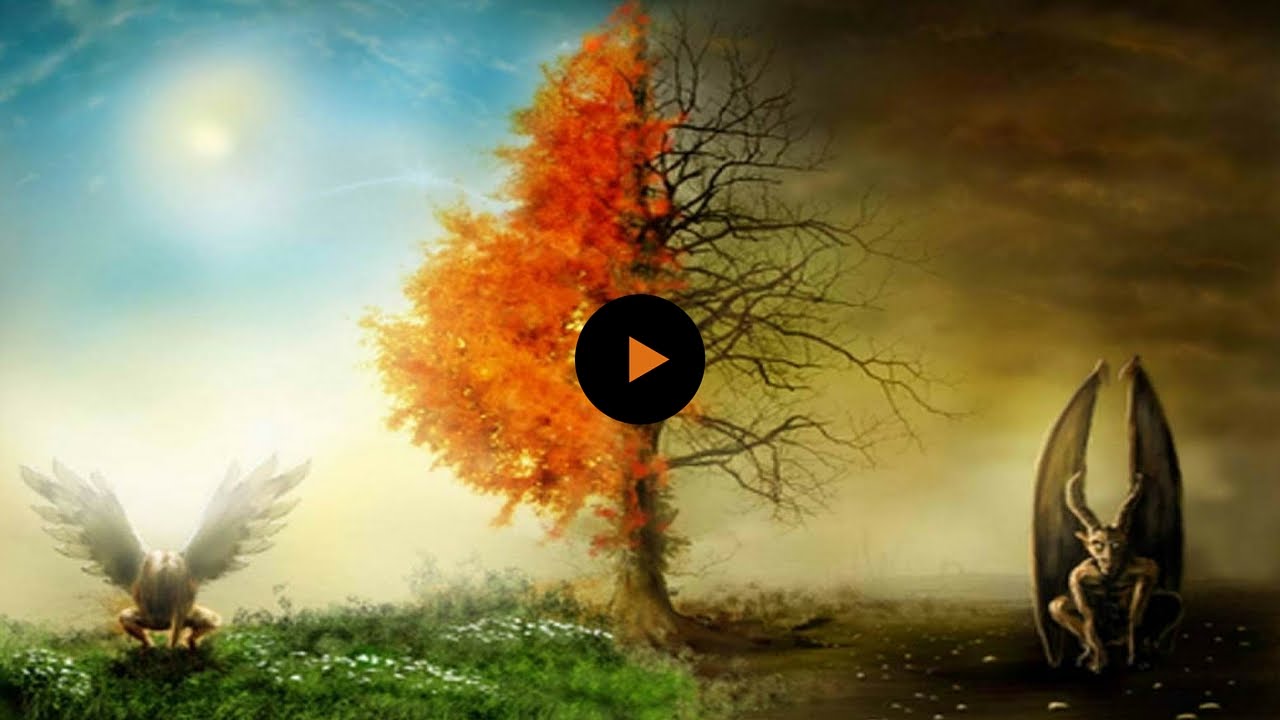 Human Nature Wallpapers - Top Free Human Nature Backgrounds ...