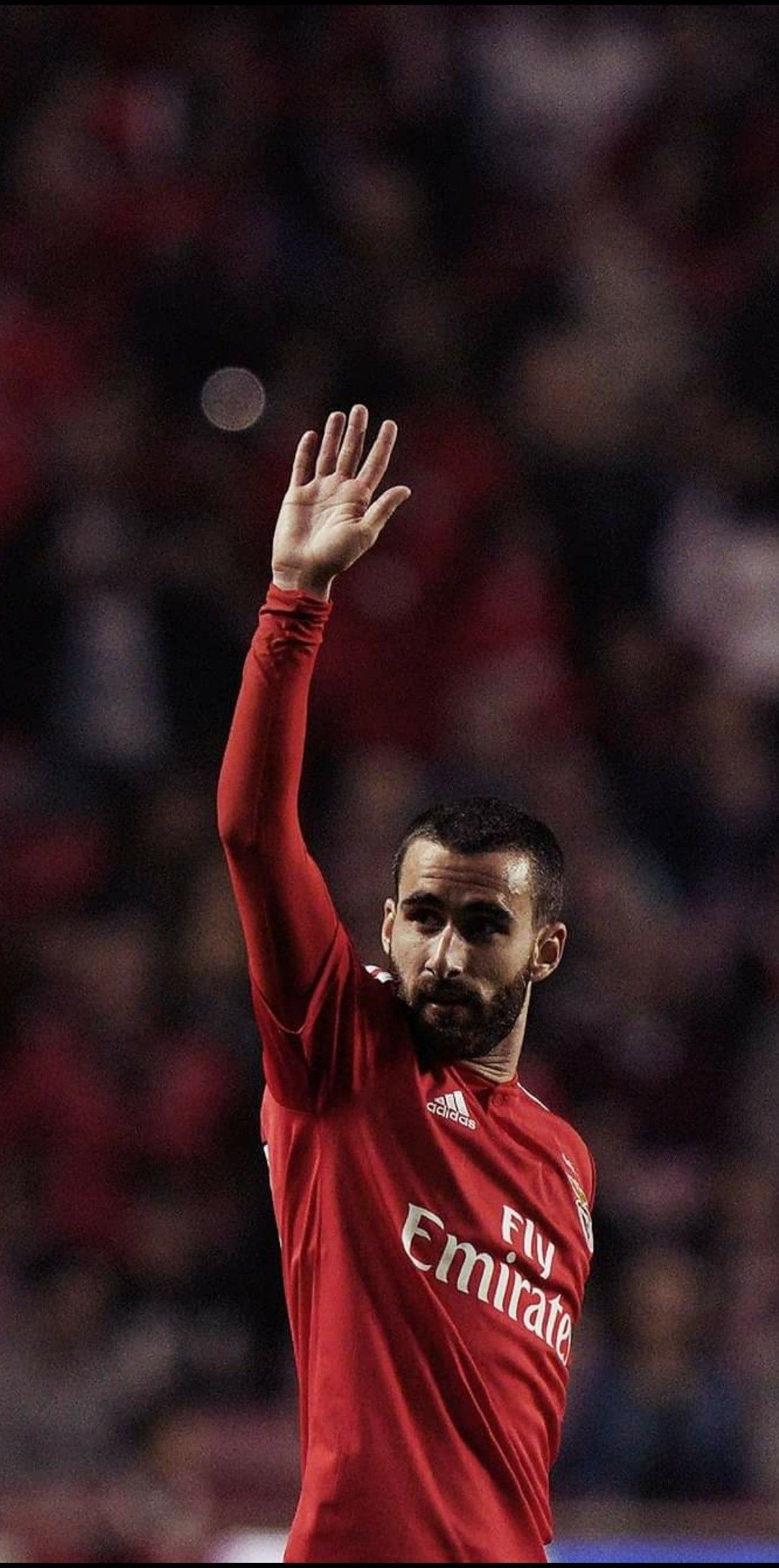 Rafa Silva Wallpapers - Top Free Rafa Silva Backgrounds - WallpaperAccess