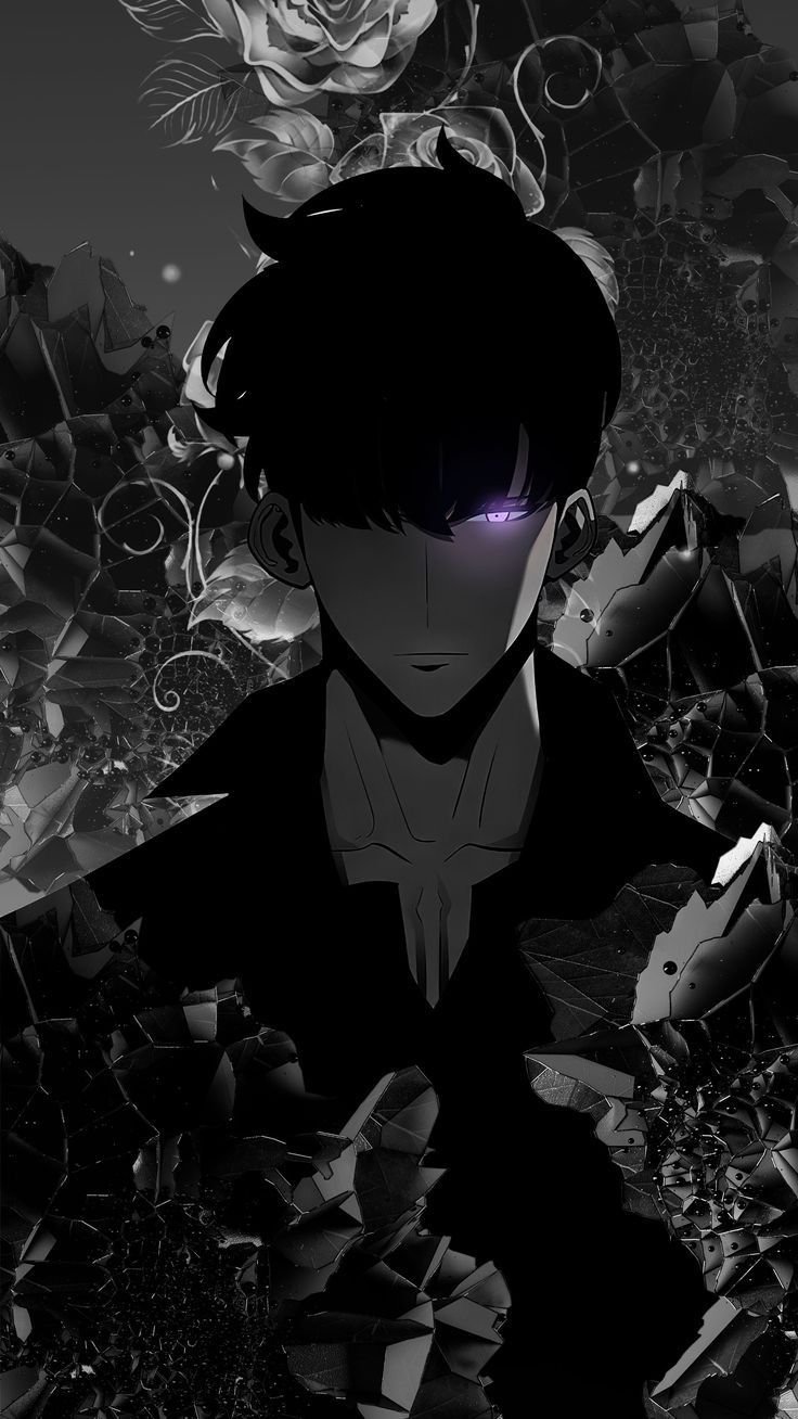 Solo Leveling Dark Wallpapers - Top Free Solo Leveling Dark Backgrounds ...