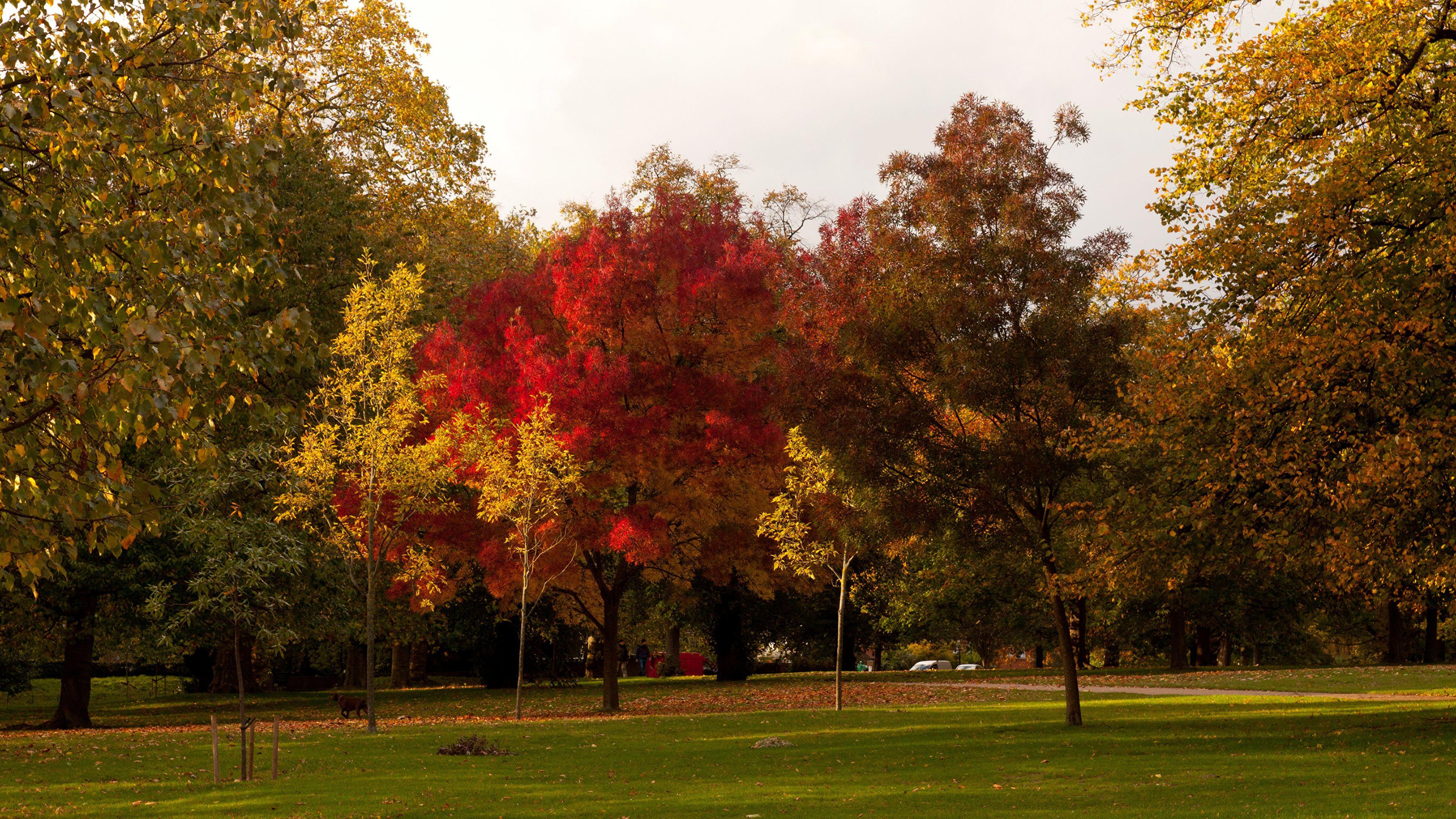 London Fall Wallpapers - Top Free London Fall Backgrounds - WallpaperAccess