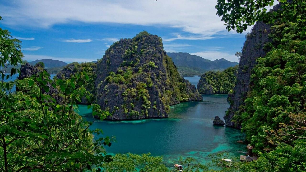 Palawan Wallpapers - Top Free Palawan Backgrounds - WallpaperAccess
