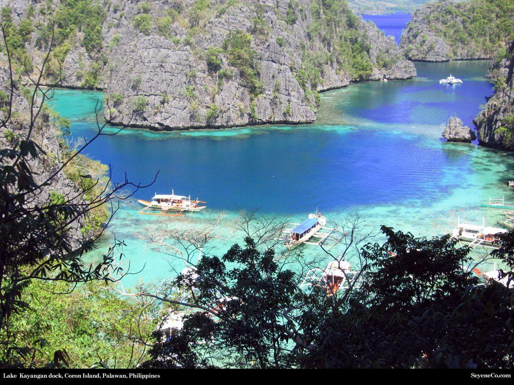 Palawan Wallpapers - Top Free Palawan Backgrounds - WallpaperAccess