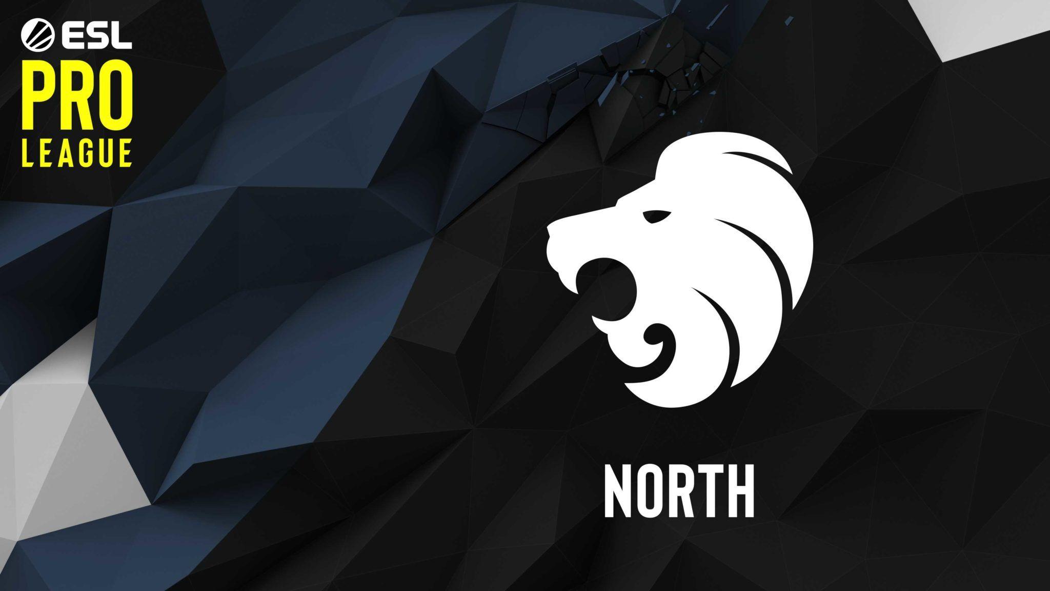 MiBR Wallpapers - Top Free MiBR Backgrounds - WallpaperAccess