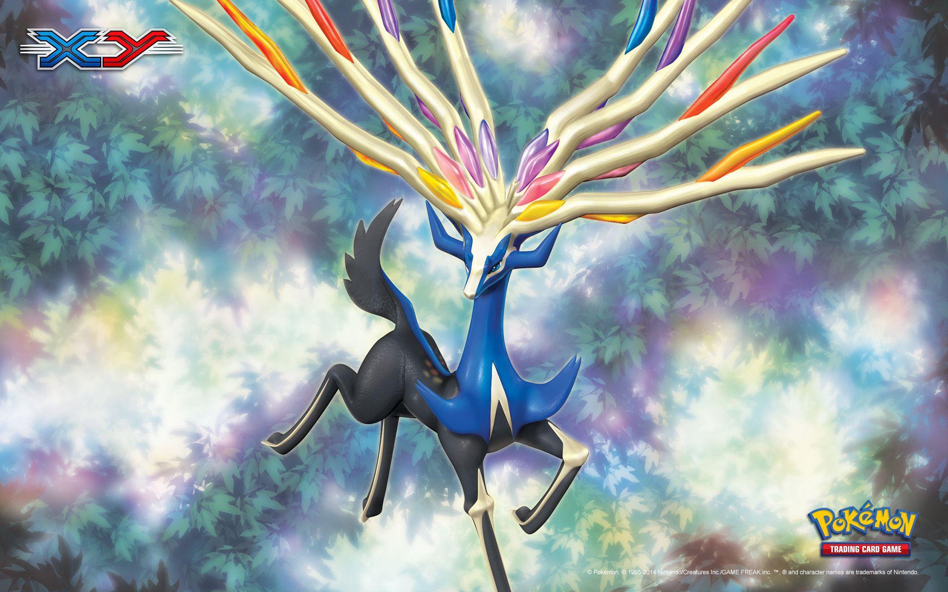 Pokemon X Wallpapers - Top Free Pokemon X Backgrounds - WallpaperAccess