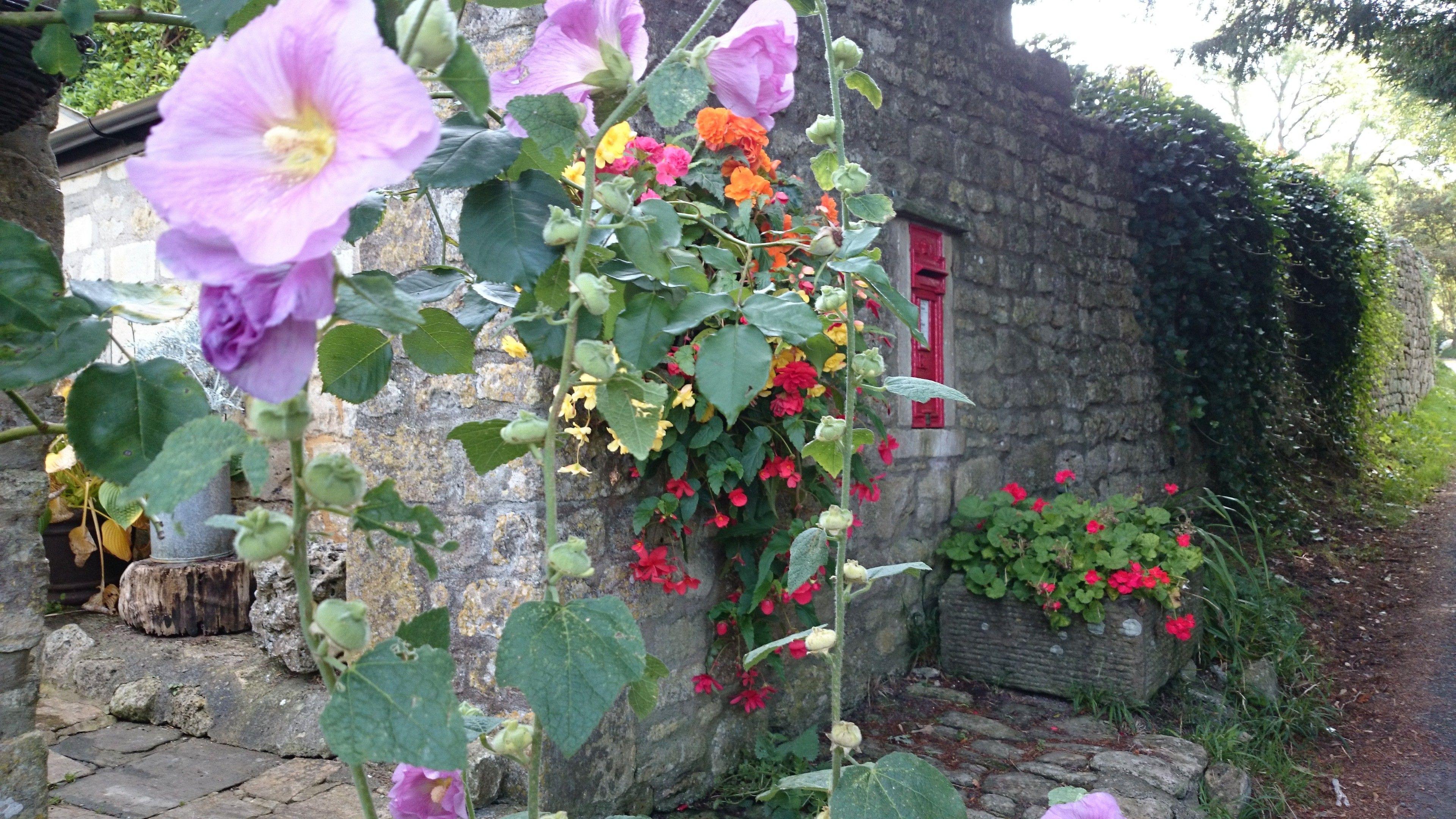 Cottage Garden Wallpapers - Top Free Cottage Garden Backgrounds ...