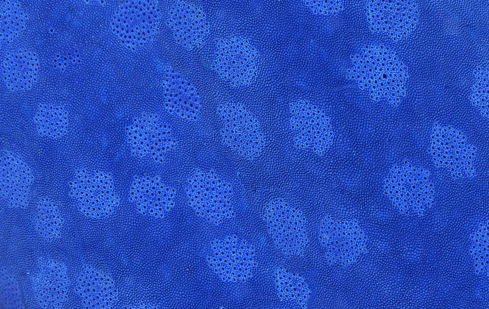 Blue Design Desktop Wallpapers - Top Free Blue Design Desktop ...