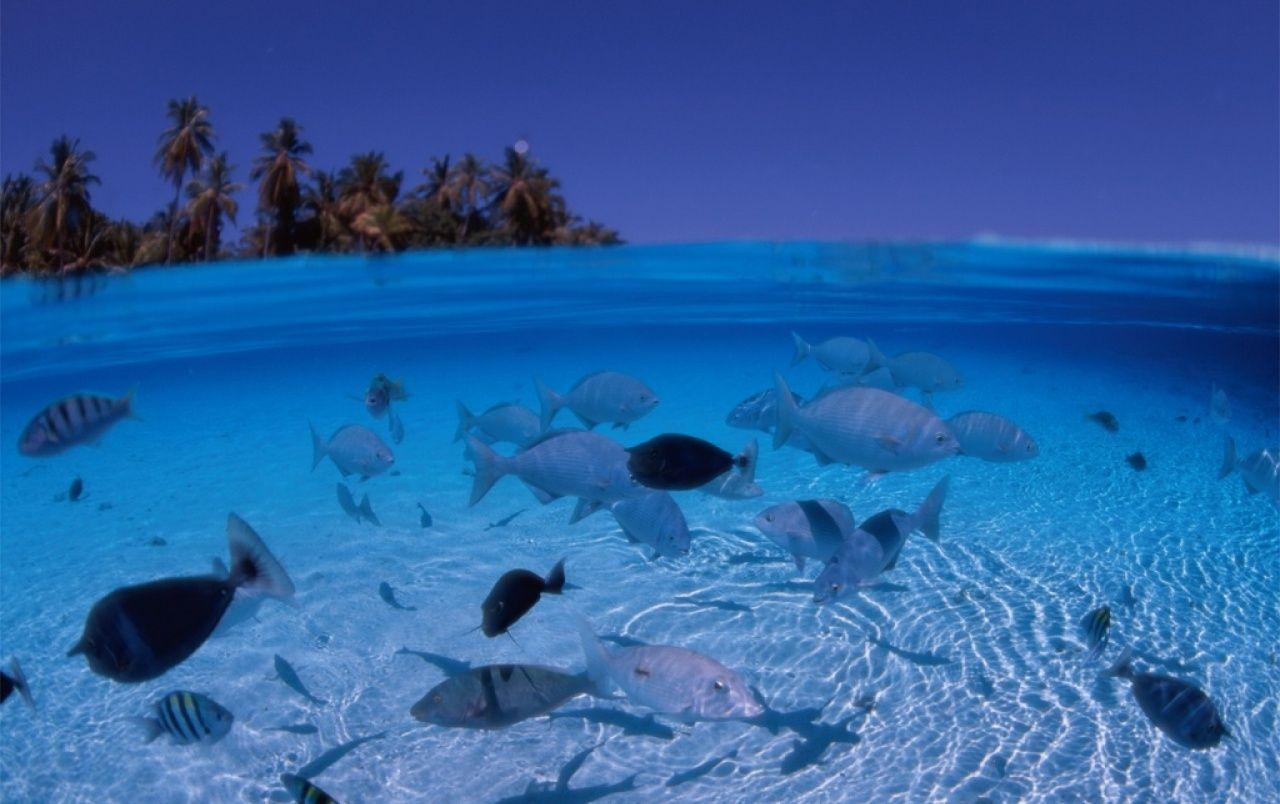 Blue Beach Wallpapers - Top Free Blue Beach Backgrounds - WallpaperAccess