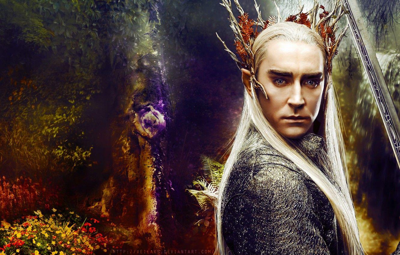 Thranduil Wallpapers - Top Free Thranduil Backgrounds - WallpaperAccess