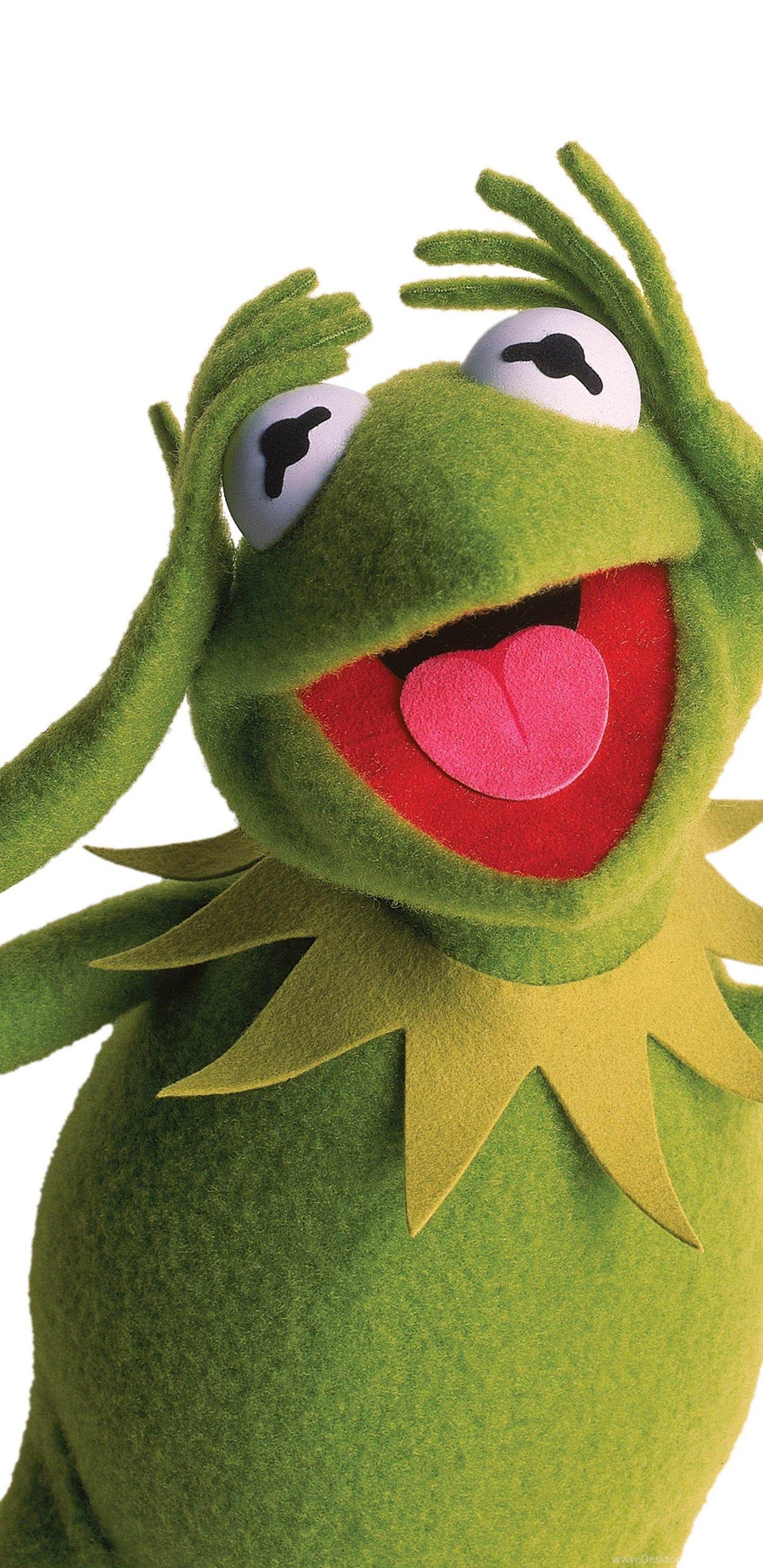 Kermit Wallpapers - Top Free Kermit Backgrounds - WallpaperAccess