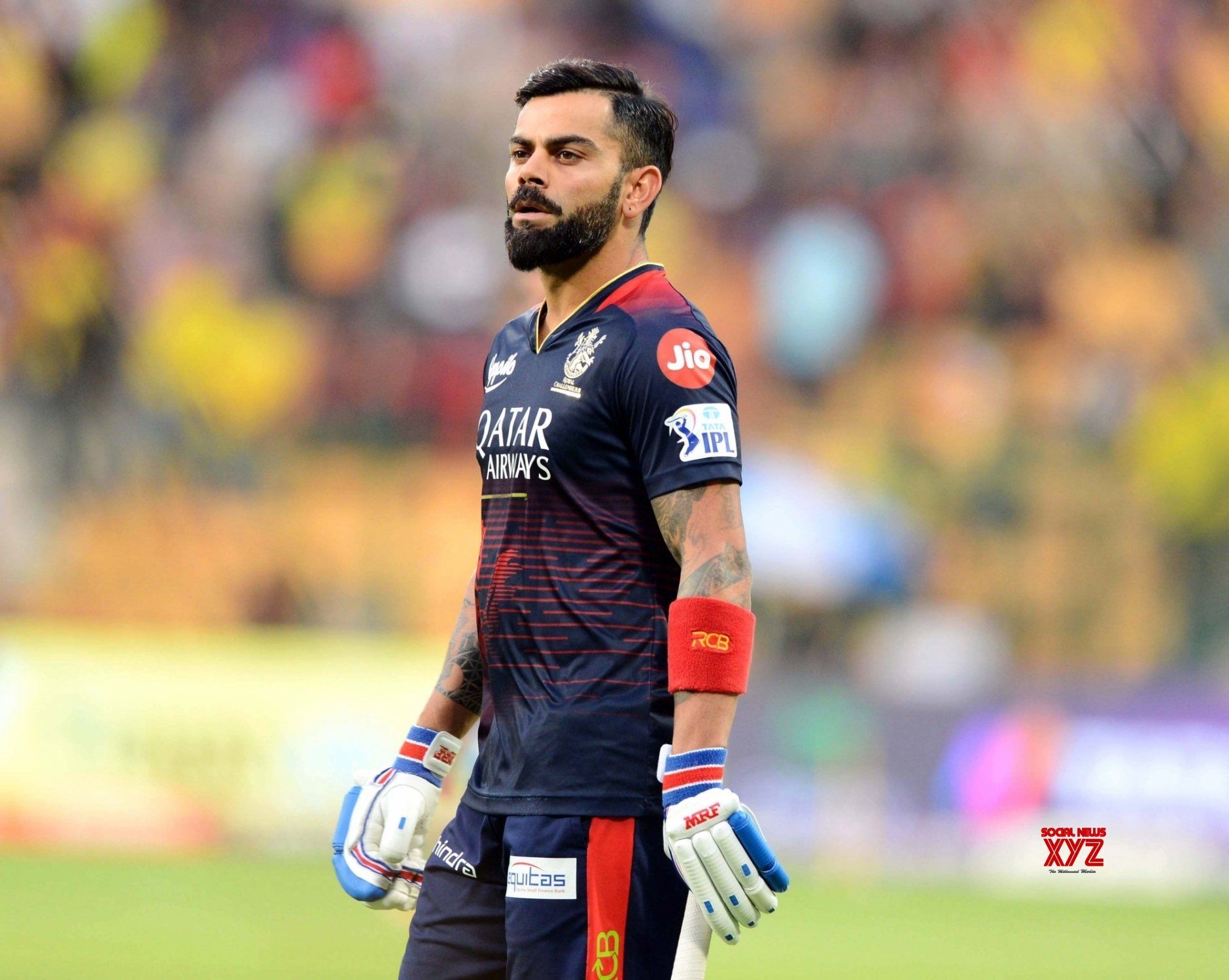 RCB 2023 Wallpapers - Top Free RCB 2023 Backgrounds - WallpaperAccess