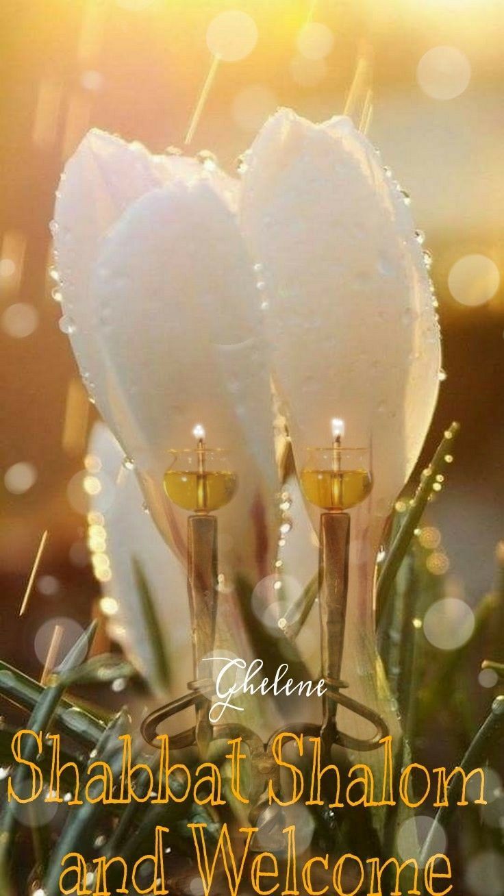 Shabbat Wallpapers - Top Free Shabbat Backgrounds - WallpaperAccess