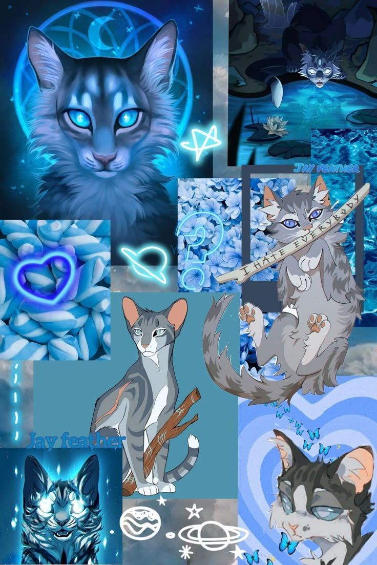 Jayfeather Wallpapers - Top Free Jayfeather Backgrounds - WallpaperAccess