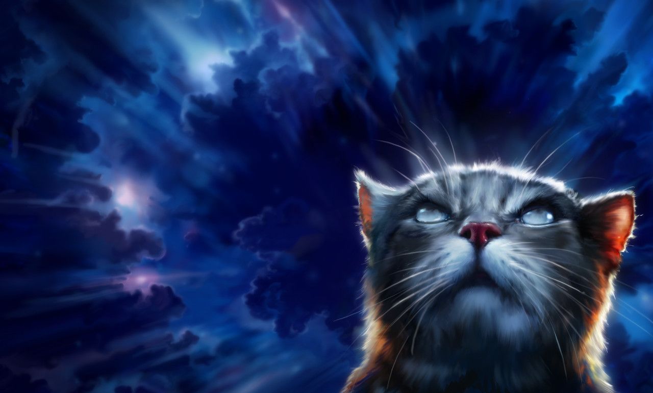 Jayfeather Wallpapers - Top Free Jayfeather Backgrounds - WallpaperAccess