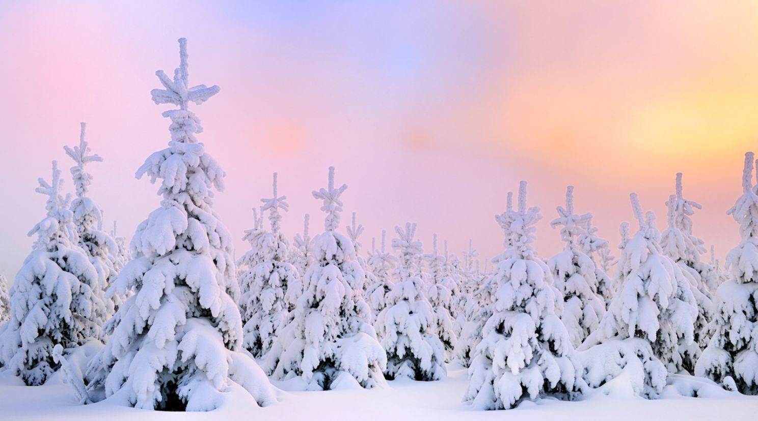 Pink Winter Wallpapers - Top Free Pink Winter Backgrounds - WallpaperAccess