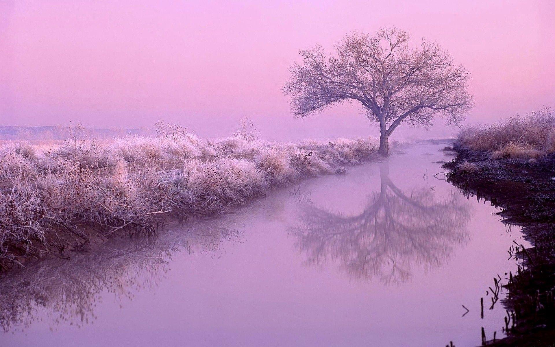 Pink Winter Wallpapers - Top Free Pink Winter Backgrounds - WallpaperAccess