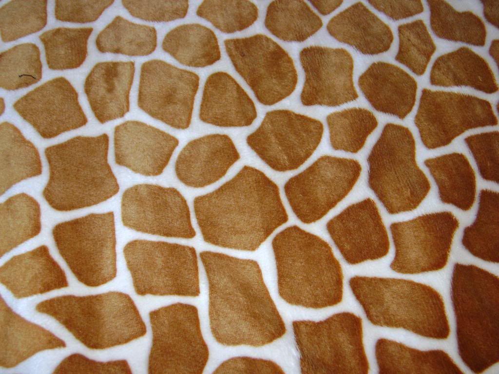 Giraffe Print Wallpapers - Top Free Giraffe Print Backgrounds ...