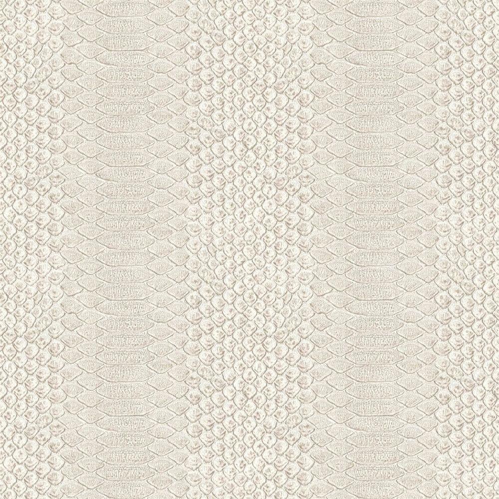 Snake Print Wallpapers - Top Free Snake Print Backgrounds - WallpaperAccess