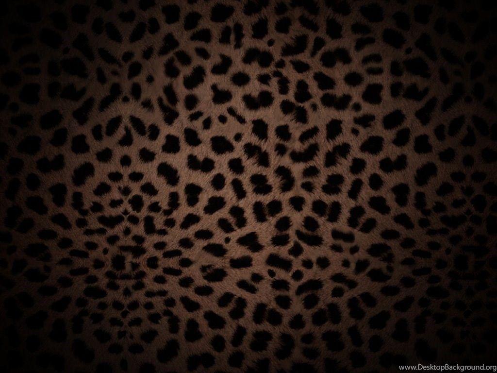 Animal Print Desktop Wallpapers - Top Free Animal Print Desktop ...