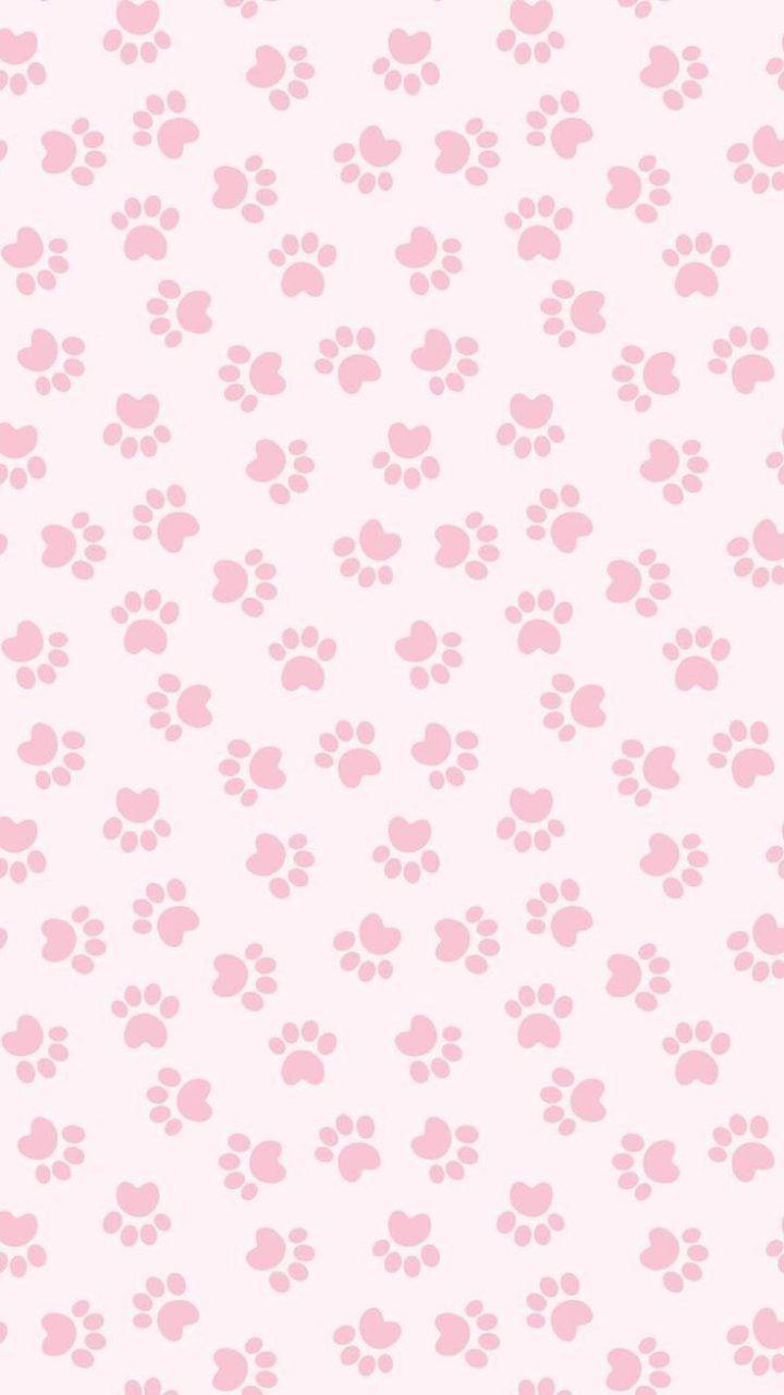 Paw Print Wallpapers - Top Free Paw Print Backgrounds - WallpaperAccess
